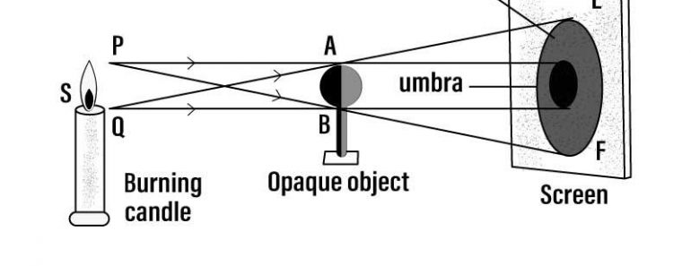 StudiousGuy – Page 11 – Your Study Buddy