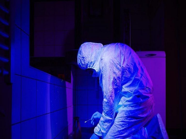 Chemiluminescence Examples in Daily Life – StudiousGuy