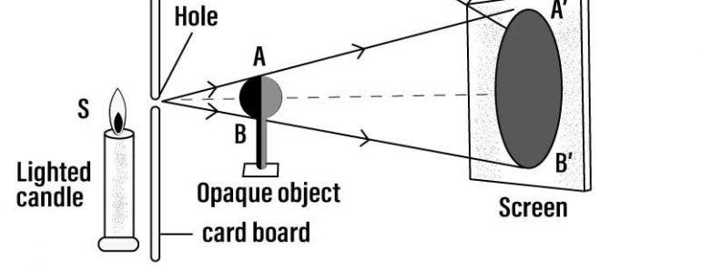 StudiousGuy – Page 25 – Your Study Buddy