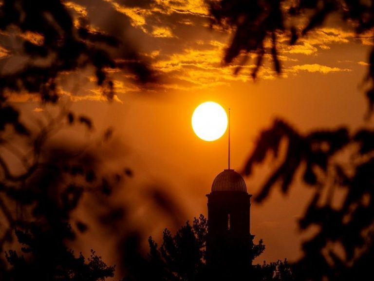 Natural Sources of Light Examples in Daily Life – StudiousGuy