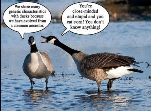 25 Fallacy Examples in Real Life – StudiousGuy