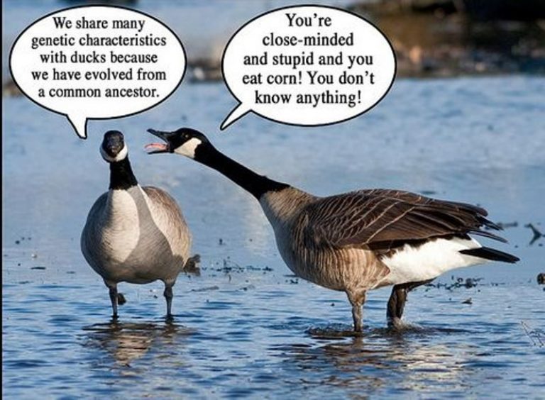 25 Fallacy Examples in Real Life – StudiousGuy