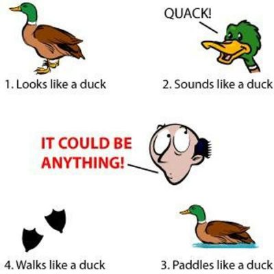 25 Fallacy Examples in Real Life – StudiousGuy