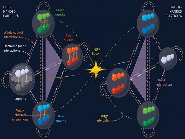 Standard Model Explained – StudiousGuy