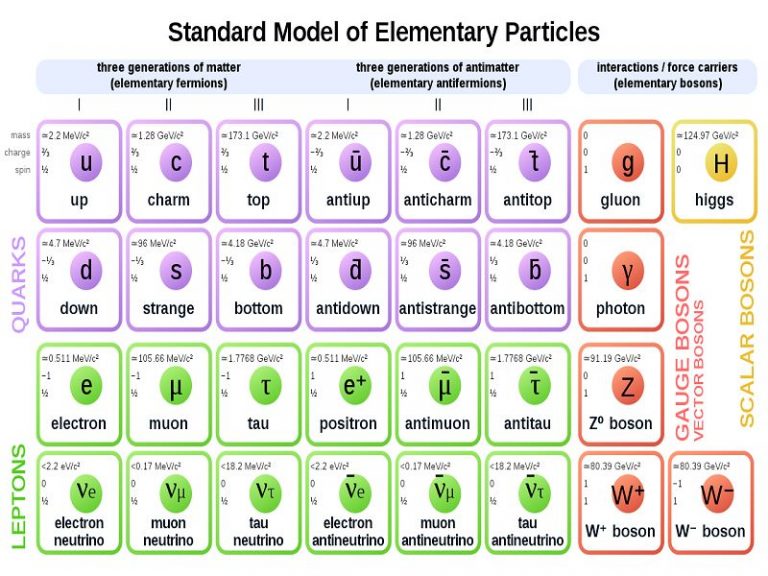 Standard Model Explained – StudiousGuy