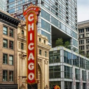 Social Disorganization Theory Examples – StudiousGuy