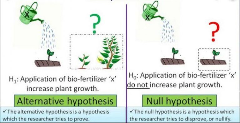 Hypothesis Types – StudiousGuy