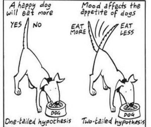 Hypothesis Types – StudiousGuy