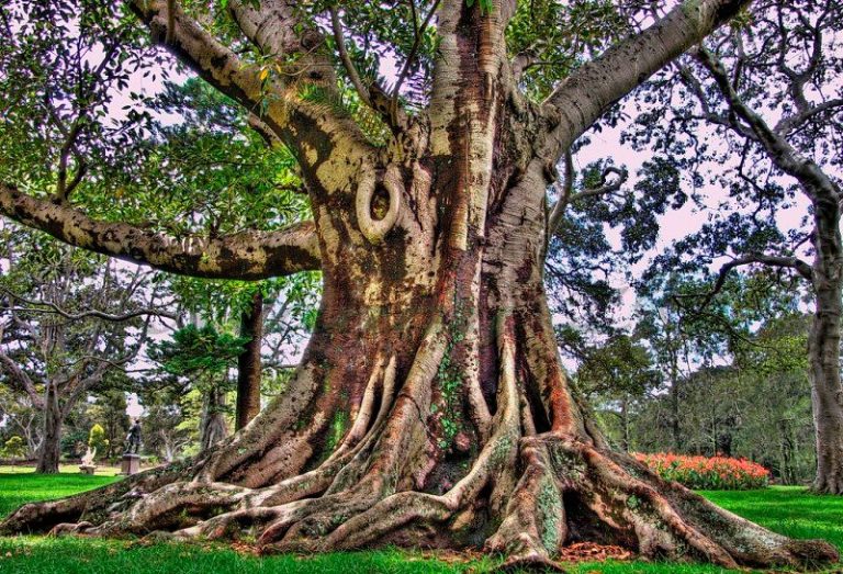 Prop Roots Examples – StudiousGuy