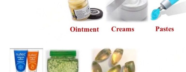 StudiousGuy – Page 14 – Your Study Buddy