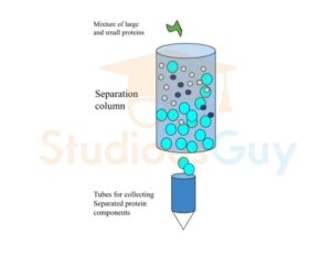 HPLC Working Principle: Types and Applications – StudiousGuy