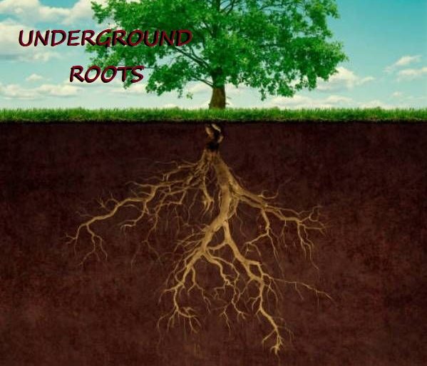 Underground Root