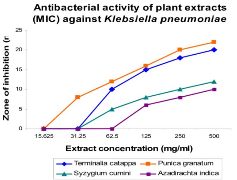 10 Biology Project Ideas – StudiousGuy