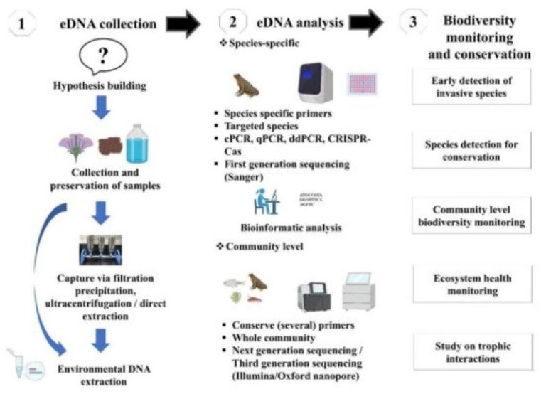20 DNA Sequencing Examples in Real Life – StudiousGuy