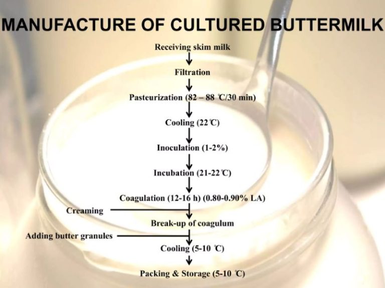36 Microbial Fermentation Examples in Real Life – StudiousGuy