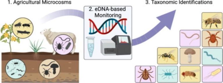 20 DNA Sequencing Examples in Real Life – StudiousGuy
