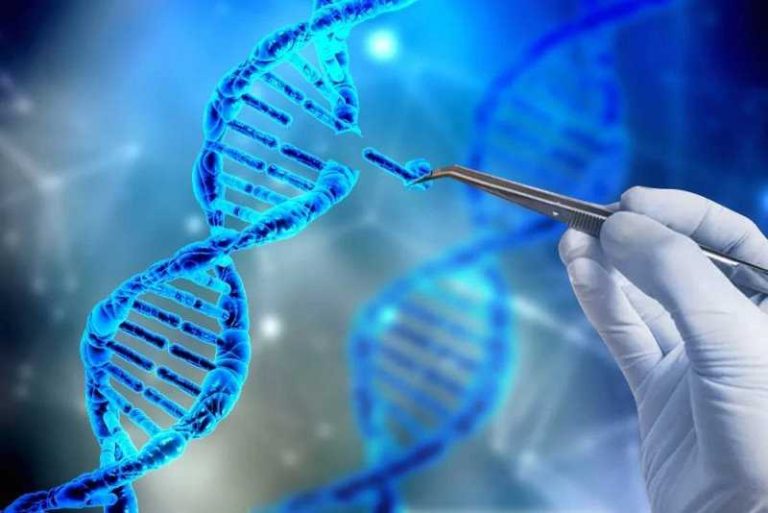 15-genetic-engineering-examples-in-real-life-studiousguy