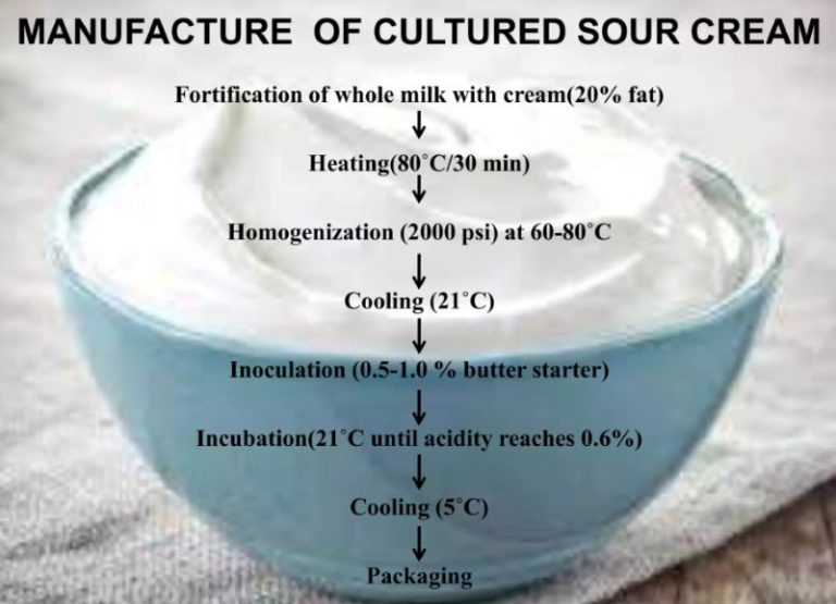 36 Microbial Fermentation Examples in Real Life – StudiousGuy
