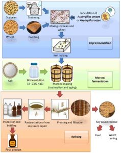36 Microbial Fermentation Examples in Real Life – StudiousGuy