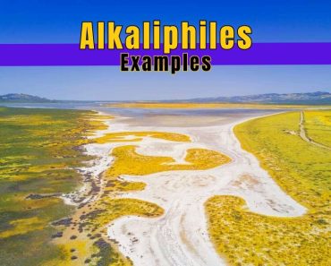 Biology – Page 2 – StudiousGuy