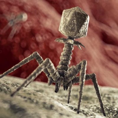 Common MBA Subjects – StudiousGuy